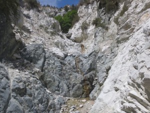 Grizzly Gulch - The Hikers Way