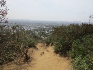 Runyon Canyon Hike - Los Angeles - The Hikers Way