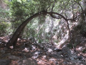 Sturtevant Falls Hike - Los Angeles - The Hikers Way